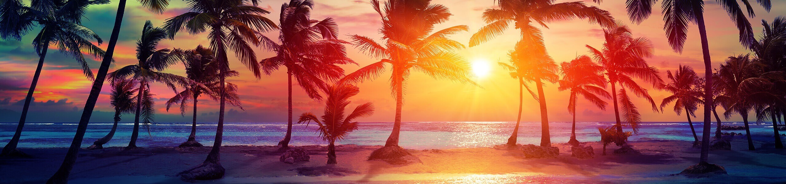 About Us | Moving To Florida | Find Your Florida